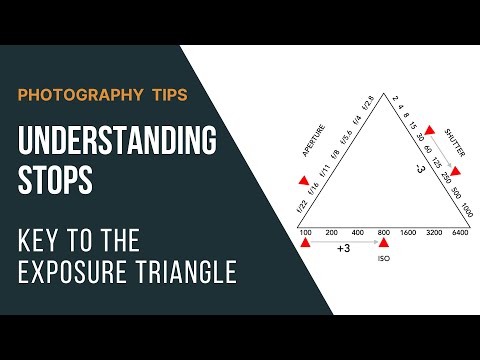 What are Stops of exposure? The key to the Exposure Triangle