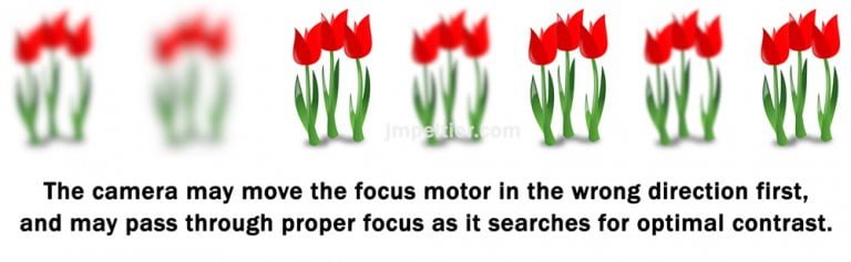 What's Phase Detection and Contrast Detection Autofocus?