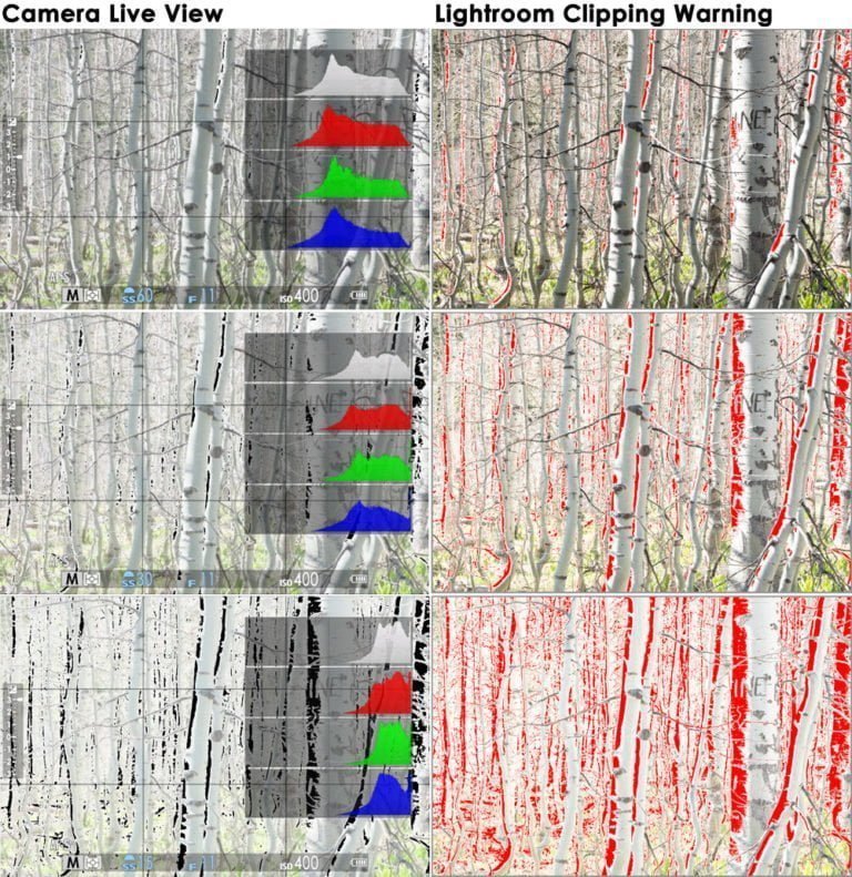Using Fujifilm's Live View Highlight Alert for Better Exposures