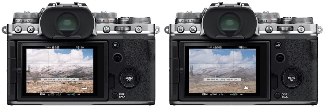 Using Fujifilm's Live View Highlight Alert for Better Exposures