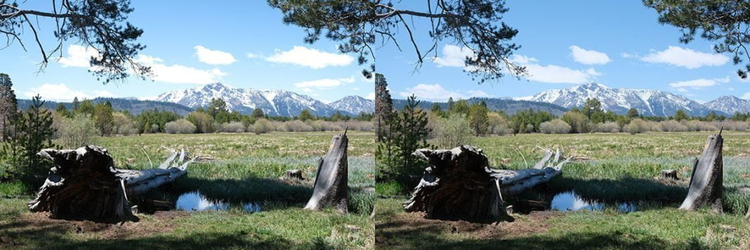 Differences Between Fujifilm's Dynamic Range Setting and HDR Mode