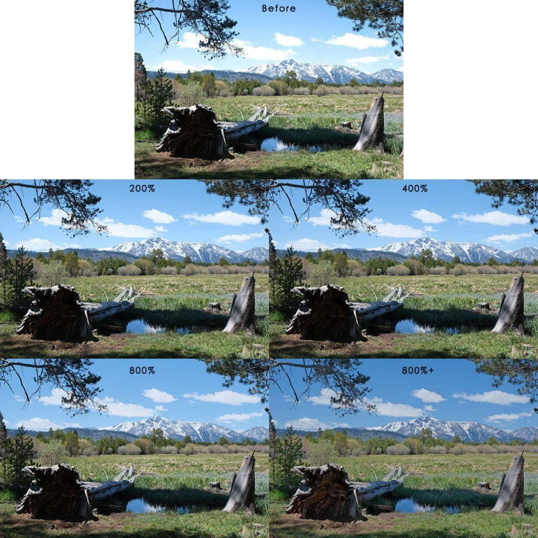 Differences Between Fujifilm's Dynamic Range Setting and HDR Mode