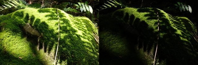 What are the Metering (Photometry) Modes in Photography?