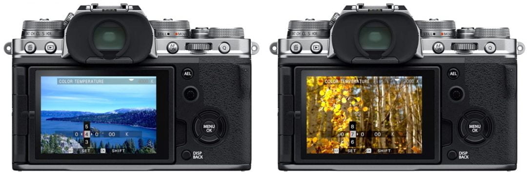 The Case for Setting White Balance In-Camera (Plus a Cheat Sheet)
