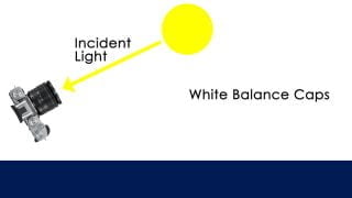 The Difference Between White Balance Lens Caps & White Balance Cards