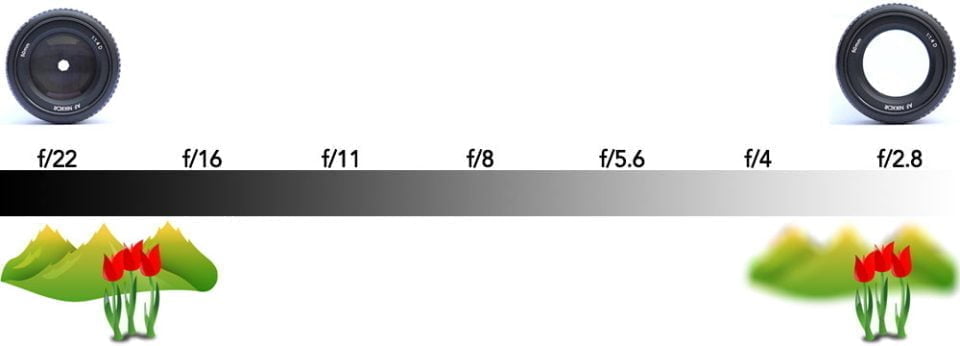 What are Stops of exposure? The key to the Exposure Triangle