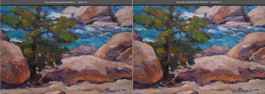 The Reality of Fujifilm Pixel Shift Multi-Shot