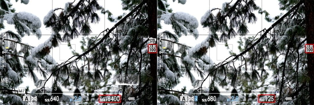 How Does Fujifilm's Dynamic Range Work with Auto ISO?