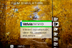 Fujifilm Film Simulation Comparisons: More Than A Gimmick