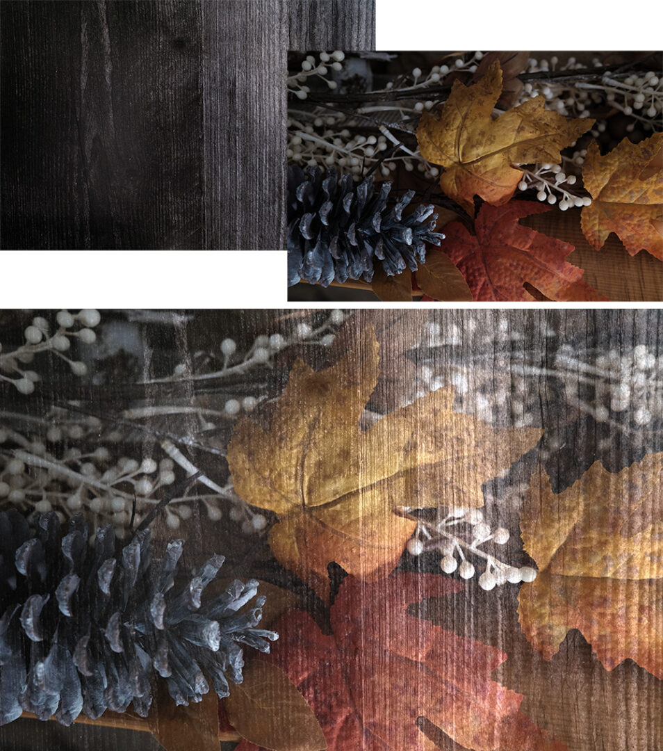 Multiple Exposure Blending Modes - The Differences