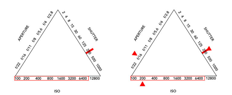 Auto ISO in Nikon Z: How It Works and When to Use It