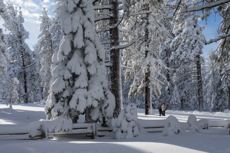 Understanding Exposure Compensation