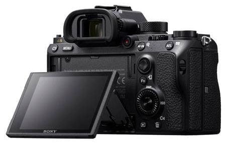 Mirrorless Camera Comparisons: What the Different Brands Offer